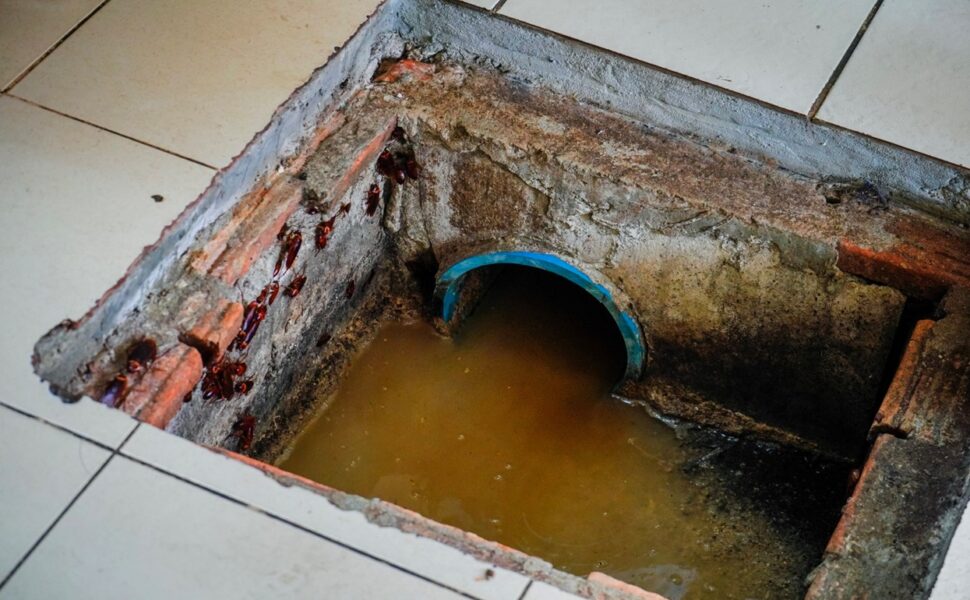 The Impact of Regular Grease Trap Maintenance on Plumbing Health
